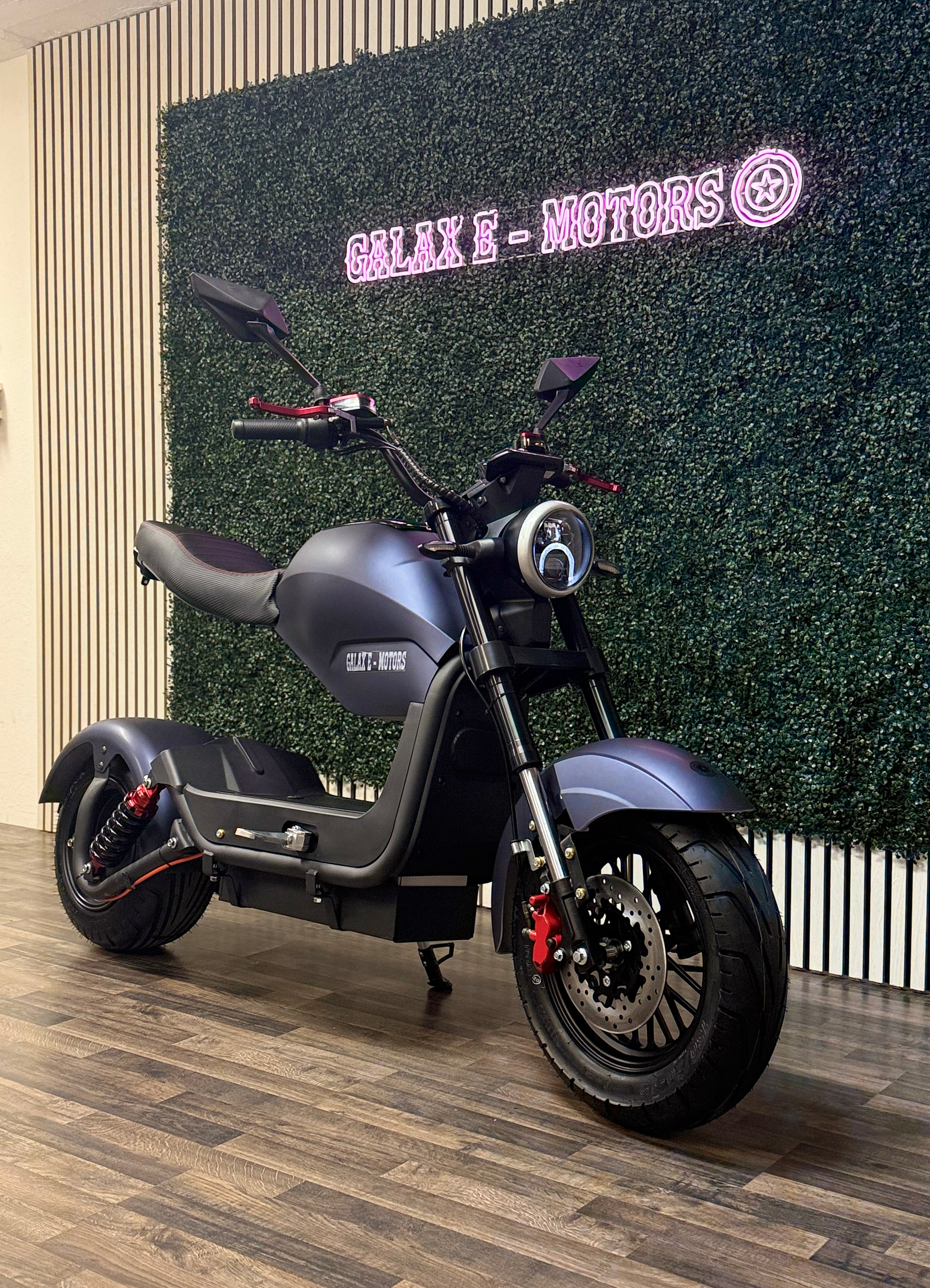 City Max GX – Galax E Motors